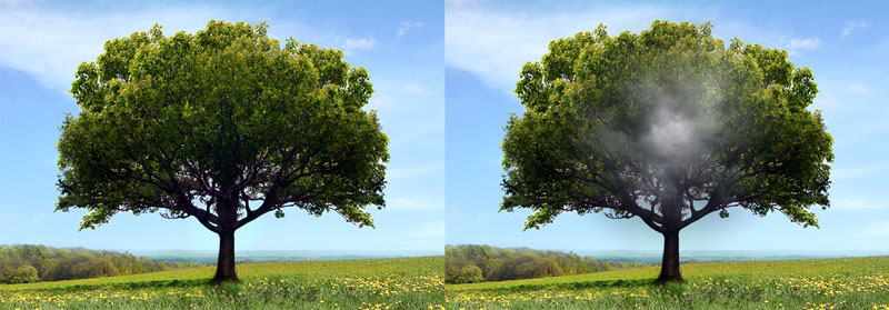 retinal-diseases-honolulu-macular-degeneration-kapahulu-aloha-vision